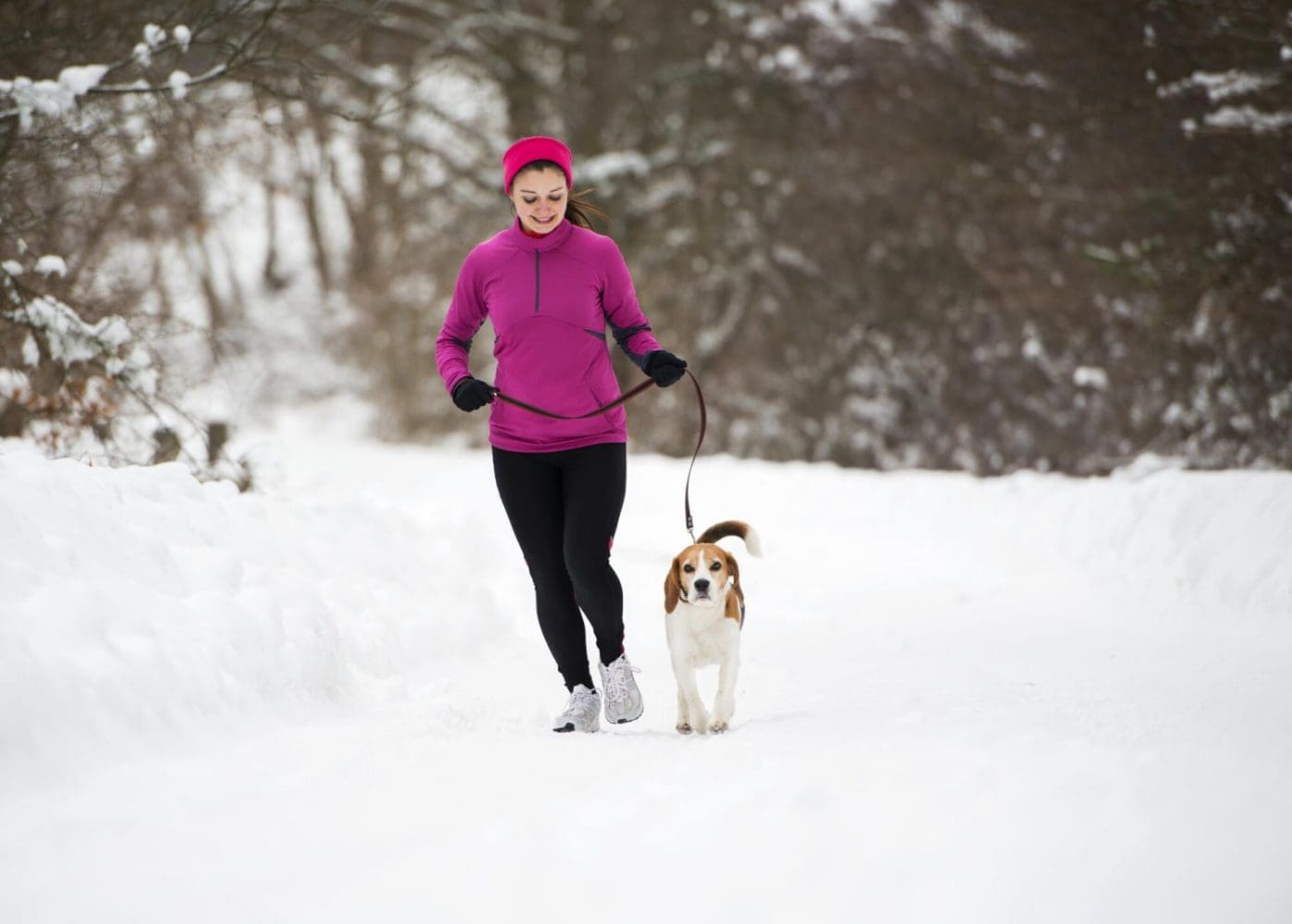 Take a Stroll With Fido: January Is Walk Your Dog Month! | Pawtology